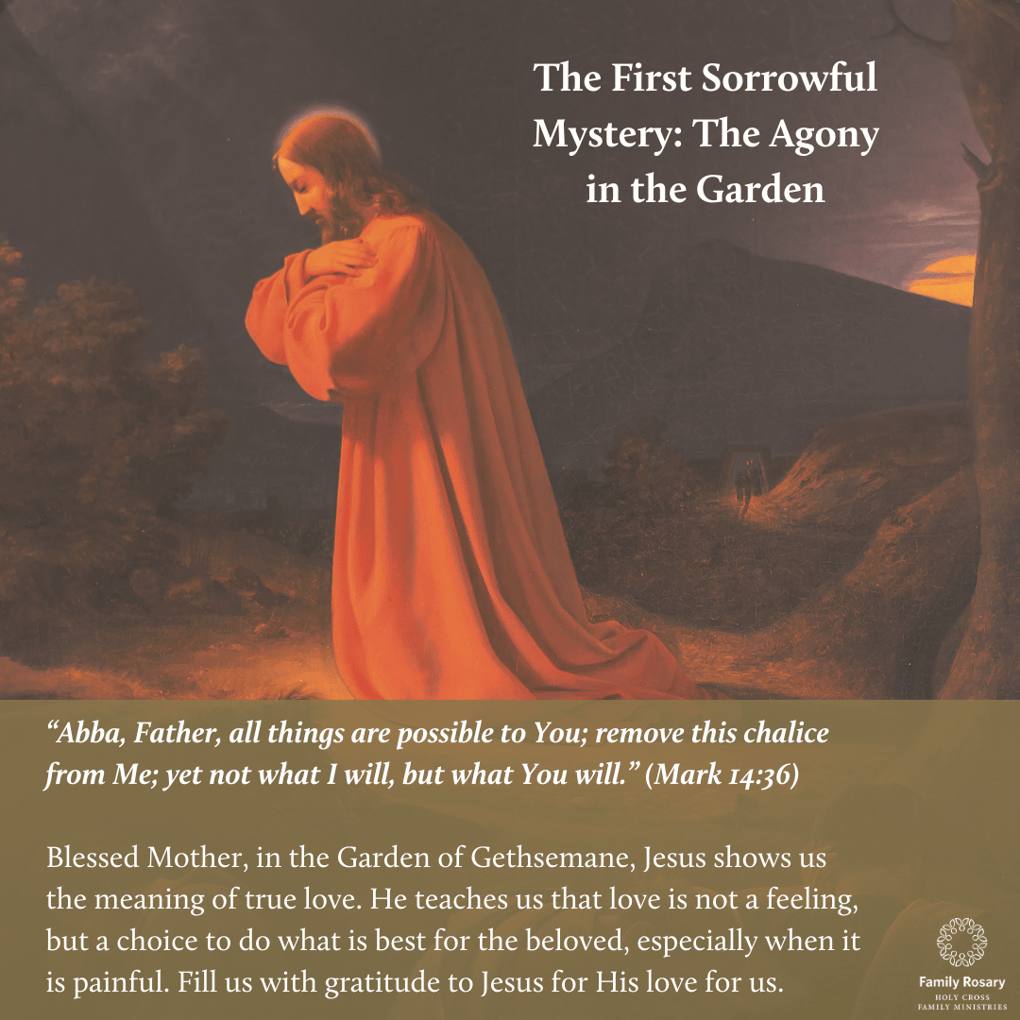 Praying the Rosary: The Sorrowful Mysteries